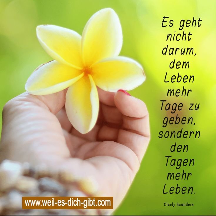 Dem Leben mehr Leben geben – Cicely Saunders - 💖 Weil es dich gibt